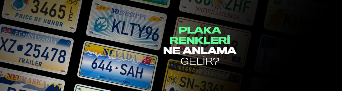 Plaka Renkleri Ne Anlama Gelir? - Borusan Next