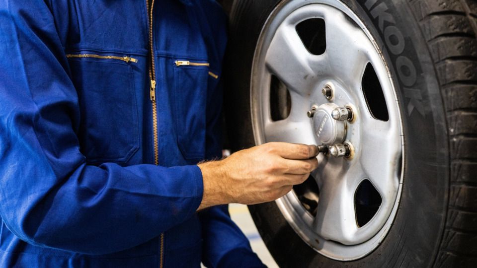 Bijon Nedir? Ne İşe Yarar? - Borusan Next