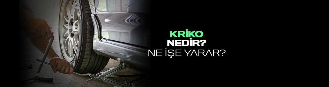 Kriko Nedir? Ne İşe Yarar? - Borusan Next